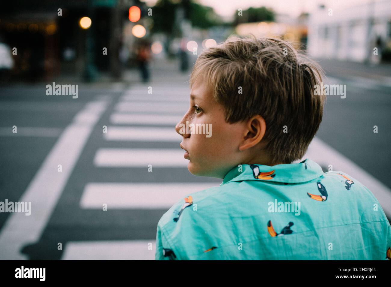 Toucan crossing hi-res stock photography and images - Alamy