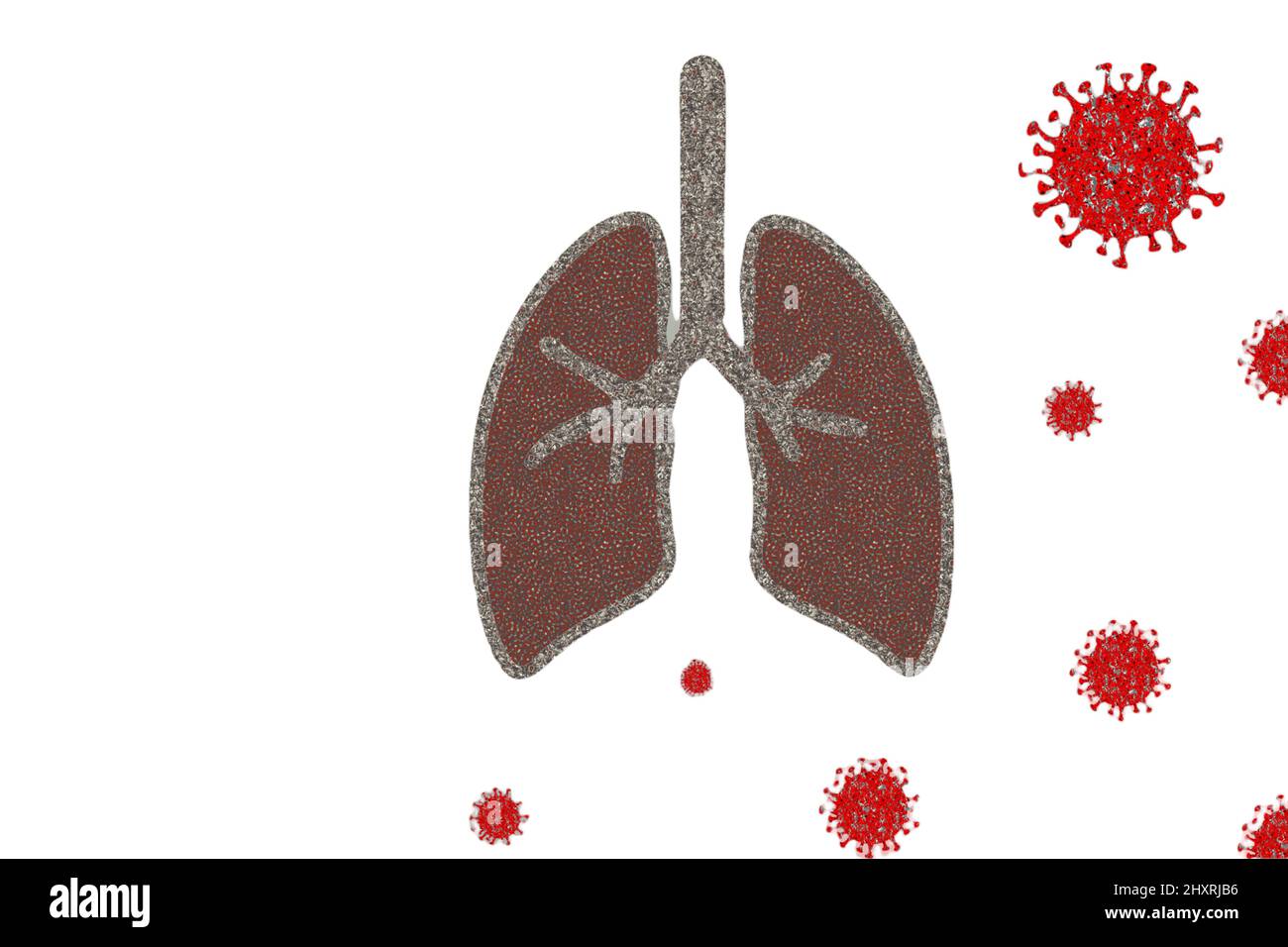 Lungs and covid cells isolated on a white background with space for ...
