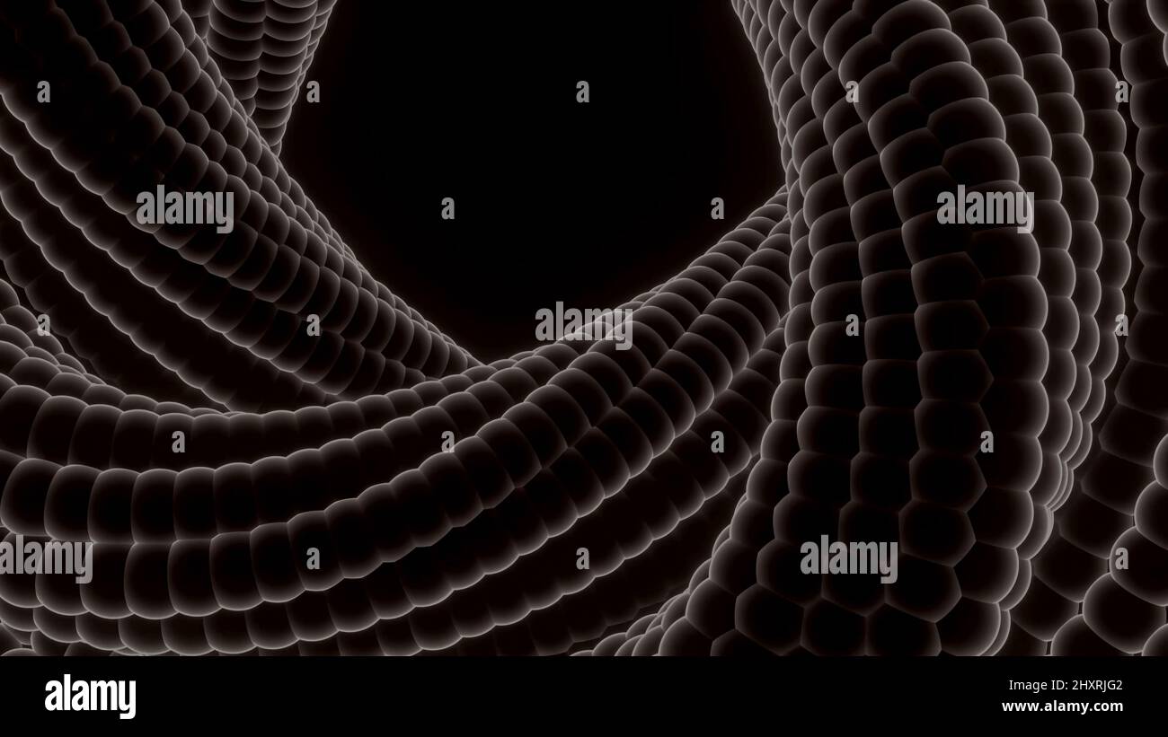 Animation with swirling loop on black background. Design. 3D twisting ...