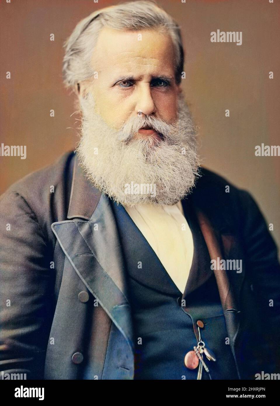 Portrait of Dom Pedro II (Peter II) (Pierre II) (Dom Pedro de Alcantara ...