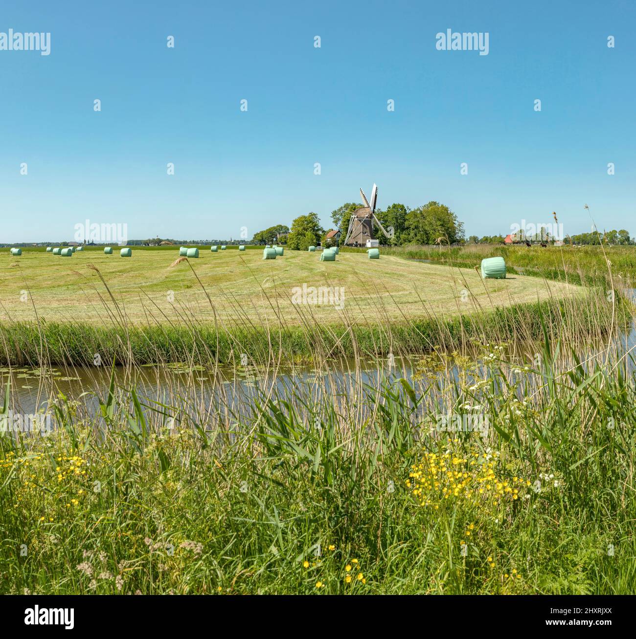 The windmill of Marsum, Marsum, Friesland, Netherlands *** Local ...