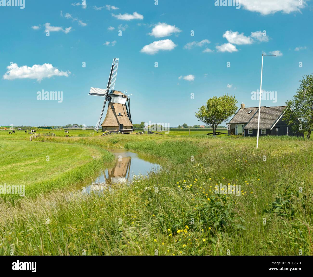Winsum friesland hi-res stock photography and images - Alamy