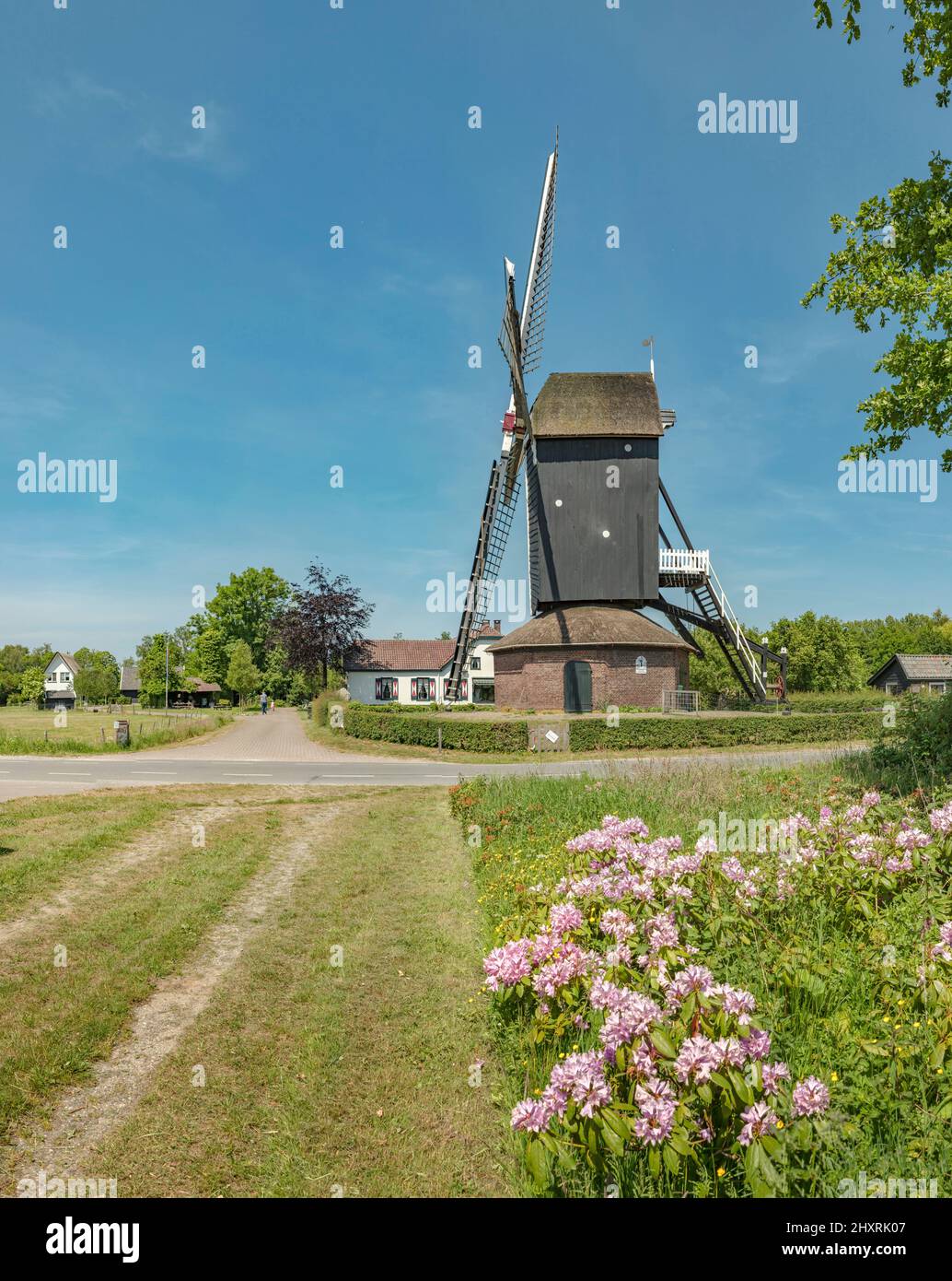 Windmill called Den Olden Florus, Terschuur, Gelderland, Netherlands ...