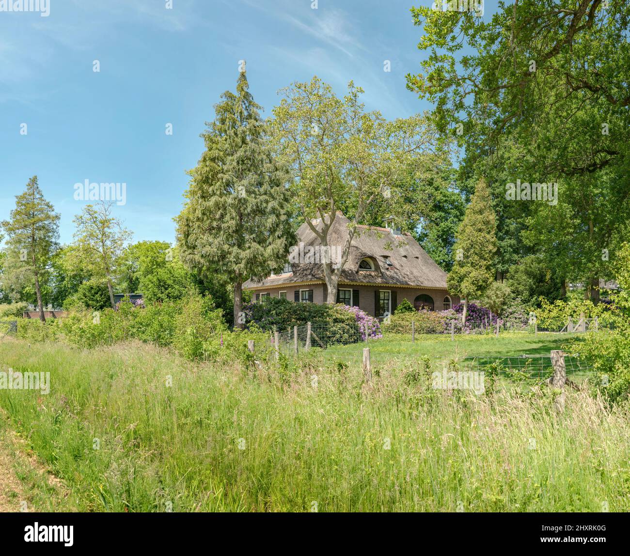 House with thatched roof enclosed by trees, Hoevelaken, Gelderland ...