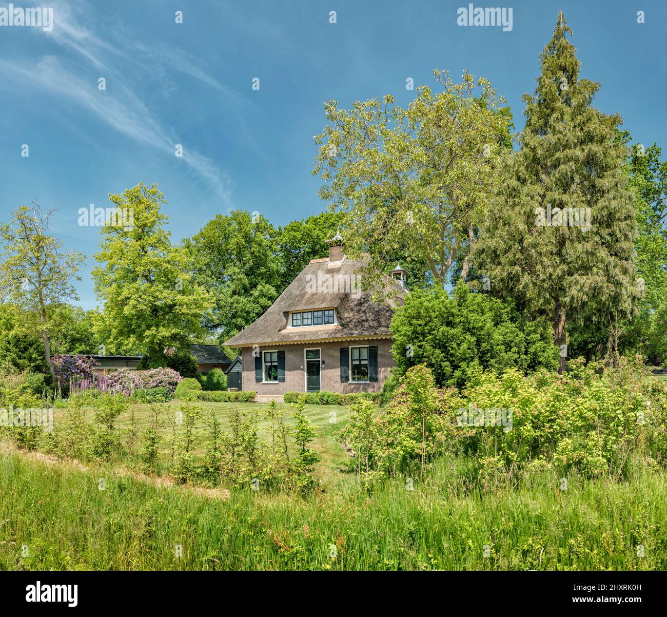 House with thatched roof enclosed by trees, Hoevelaken, Gelderland ...