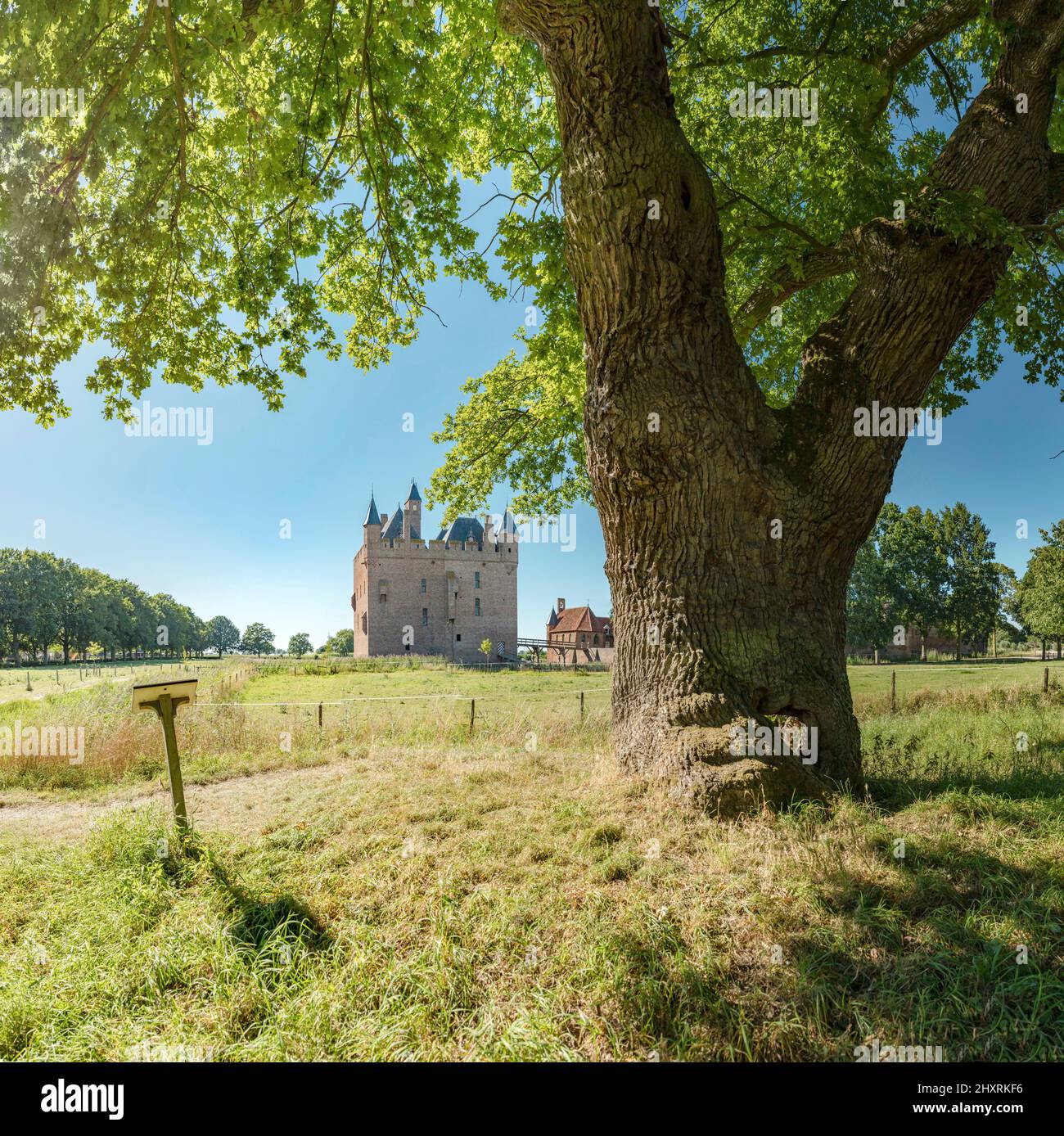 Doornenburg castle, Doornenburg, Gelderland, Netherlands *** Local ...
