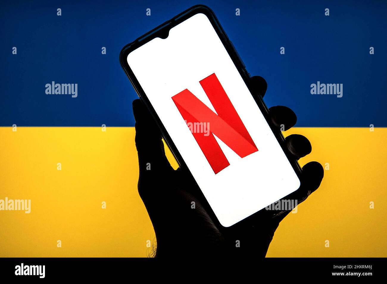 In this photo illustration a Netflix logo seen displayed on a ...