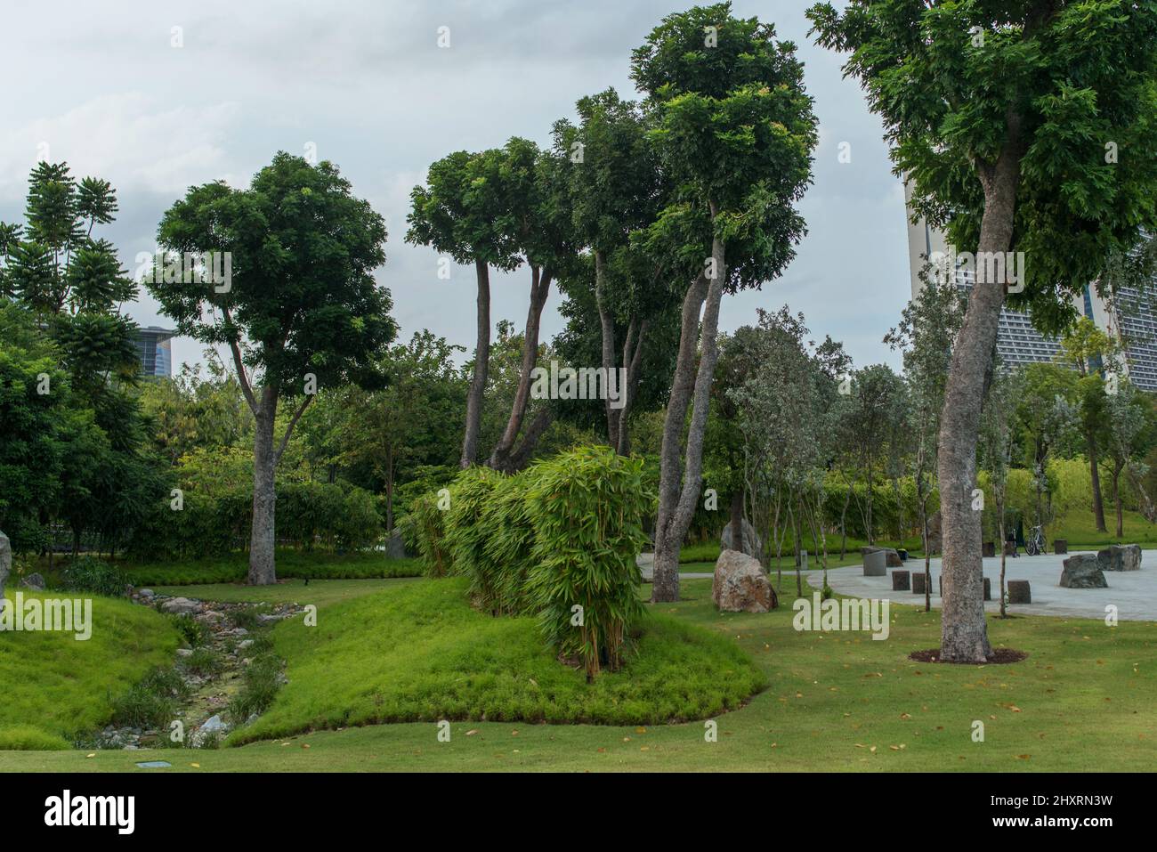 Landscape of grass field and green environment public park. Natural ...