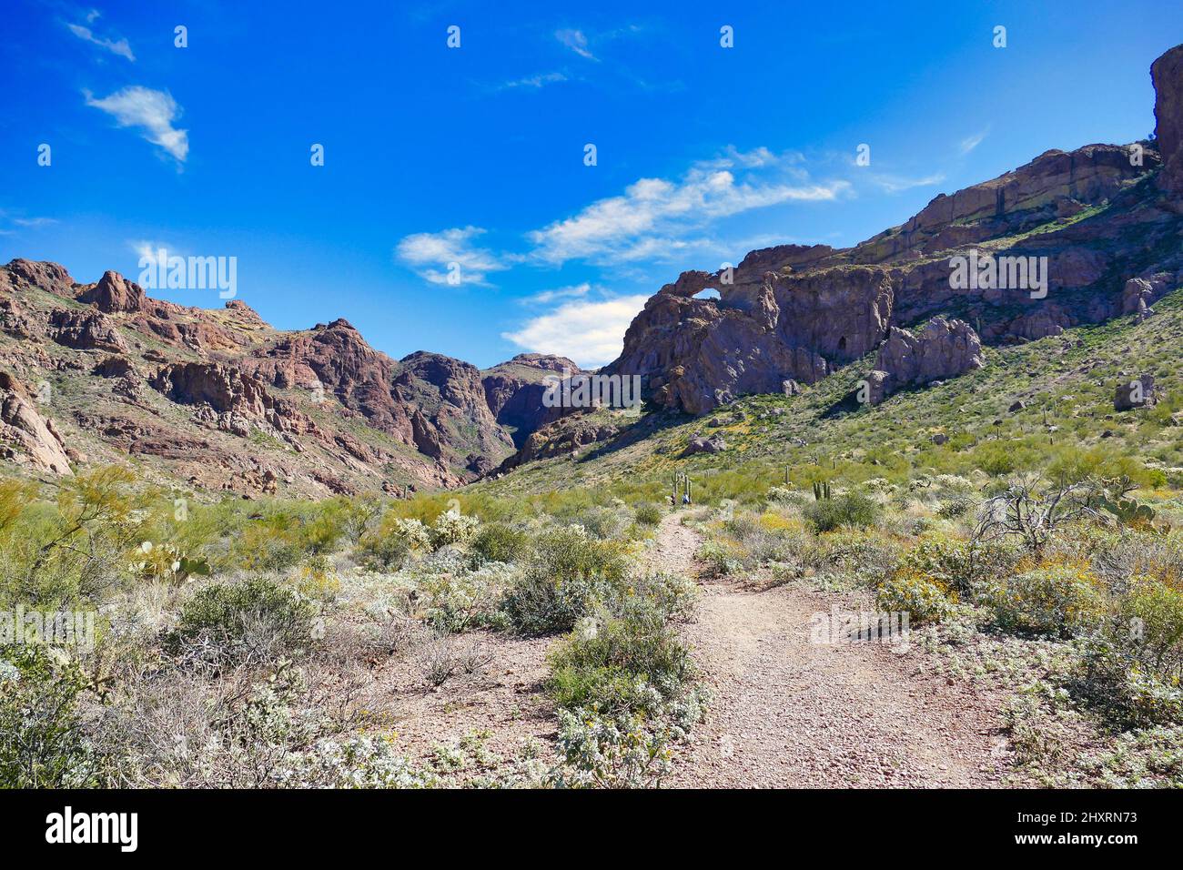 Walking trail in the Arch Canyon in Organ Pipe Cactus National Monument ...
