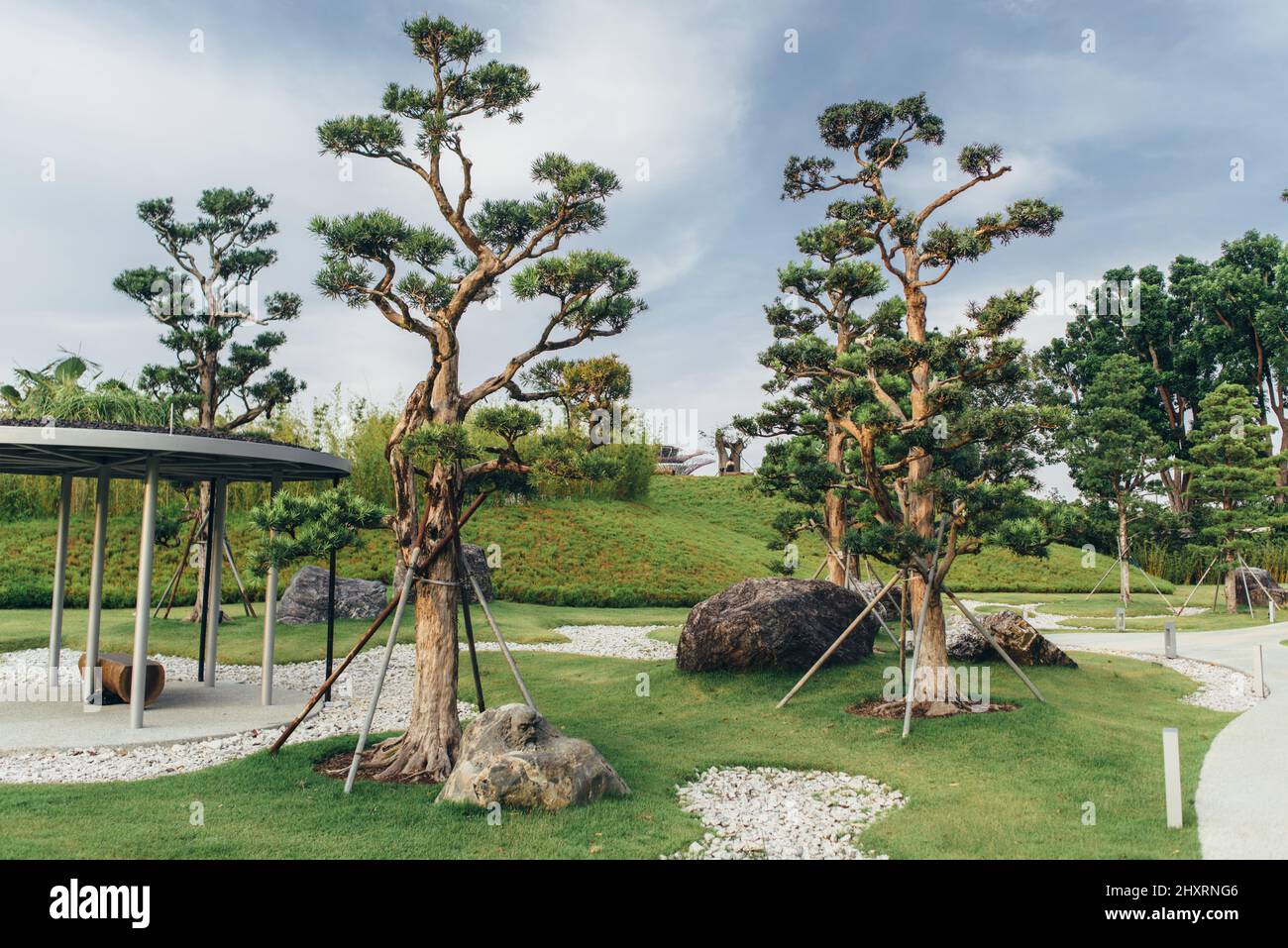 Public green park, landscape design, beautiful view of landscaped ...