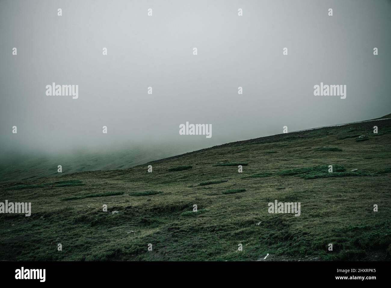 Heavy mist over the green field Stock Photo - Alamy