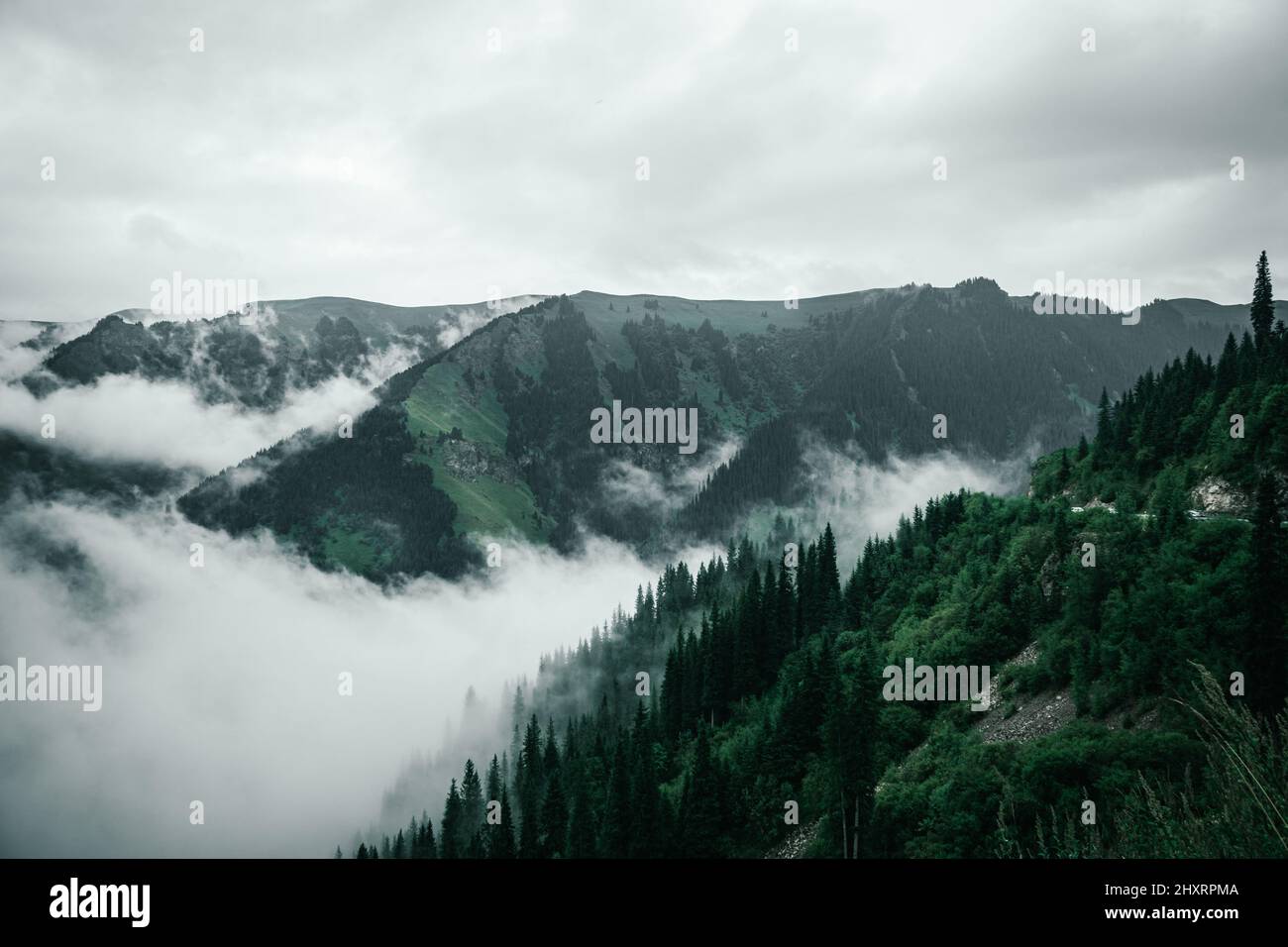 Heavy mist over the green mountains with the dense forests Stock Photo ...