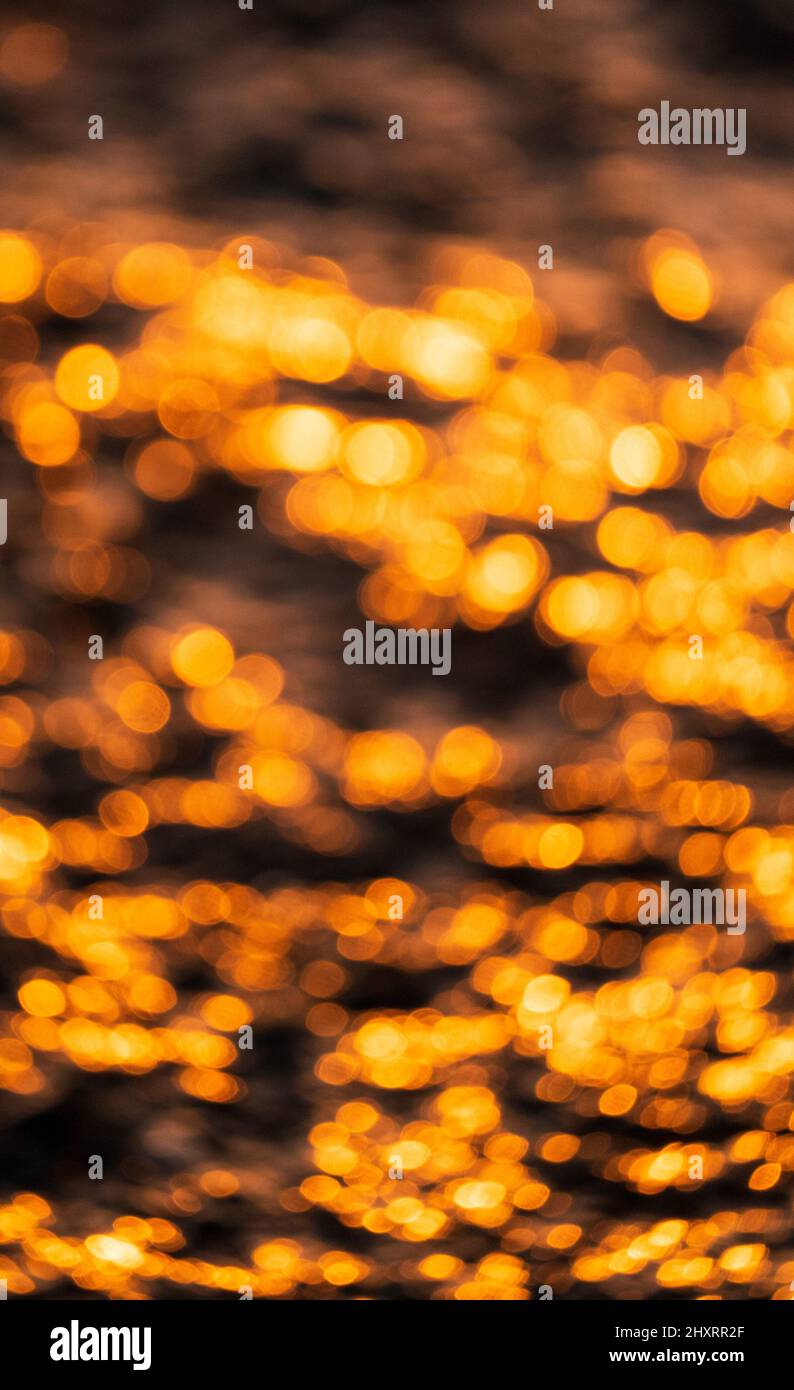 Soft light golden background and sparkling lights out of focus Stock ...