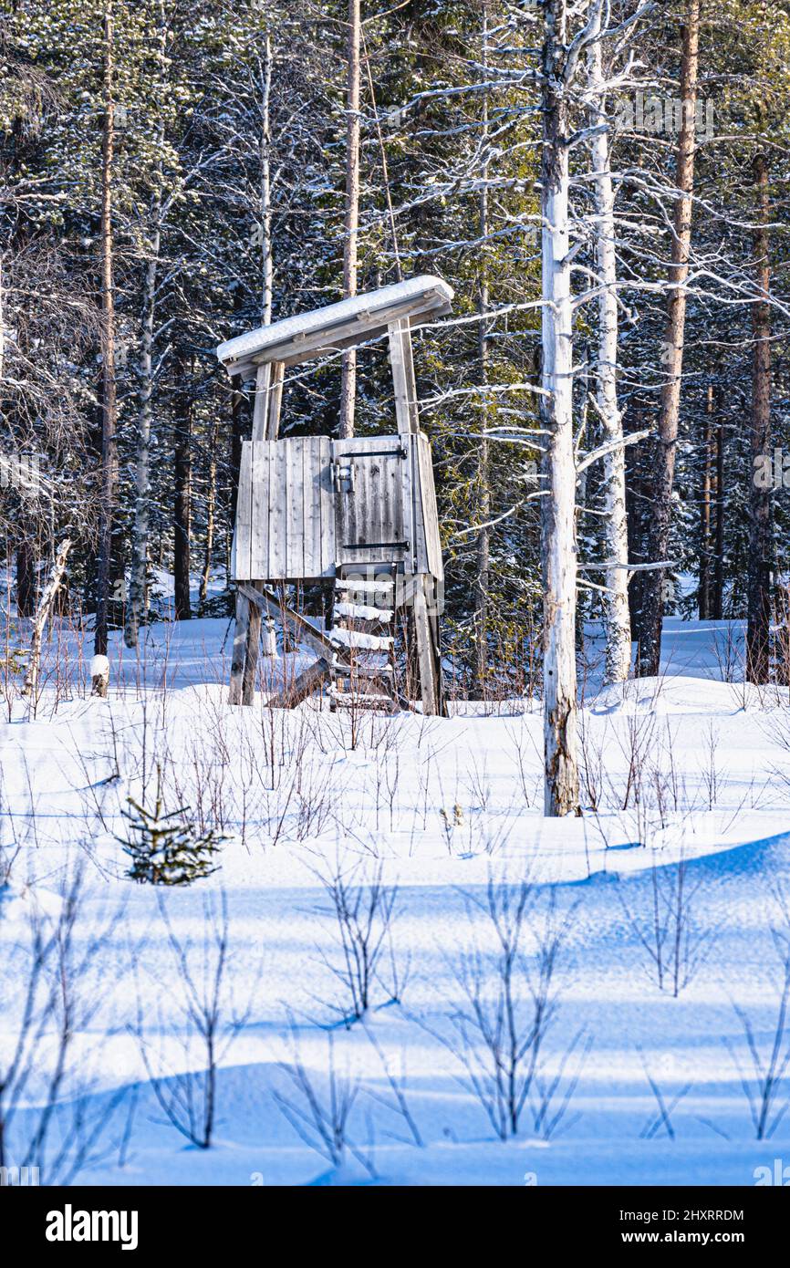 Birdwatching tower in a forest Stock Photo - Alamy