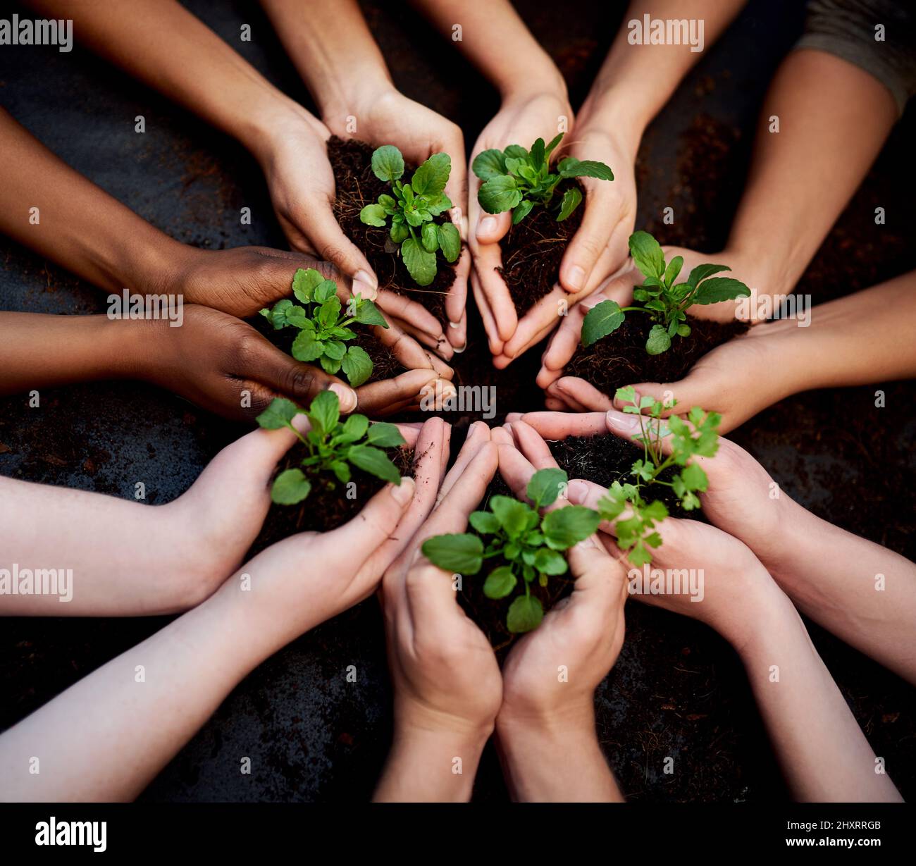 Dont grow apart, grow together. Cropped shot of a group of people ...