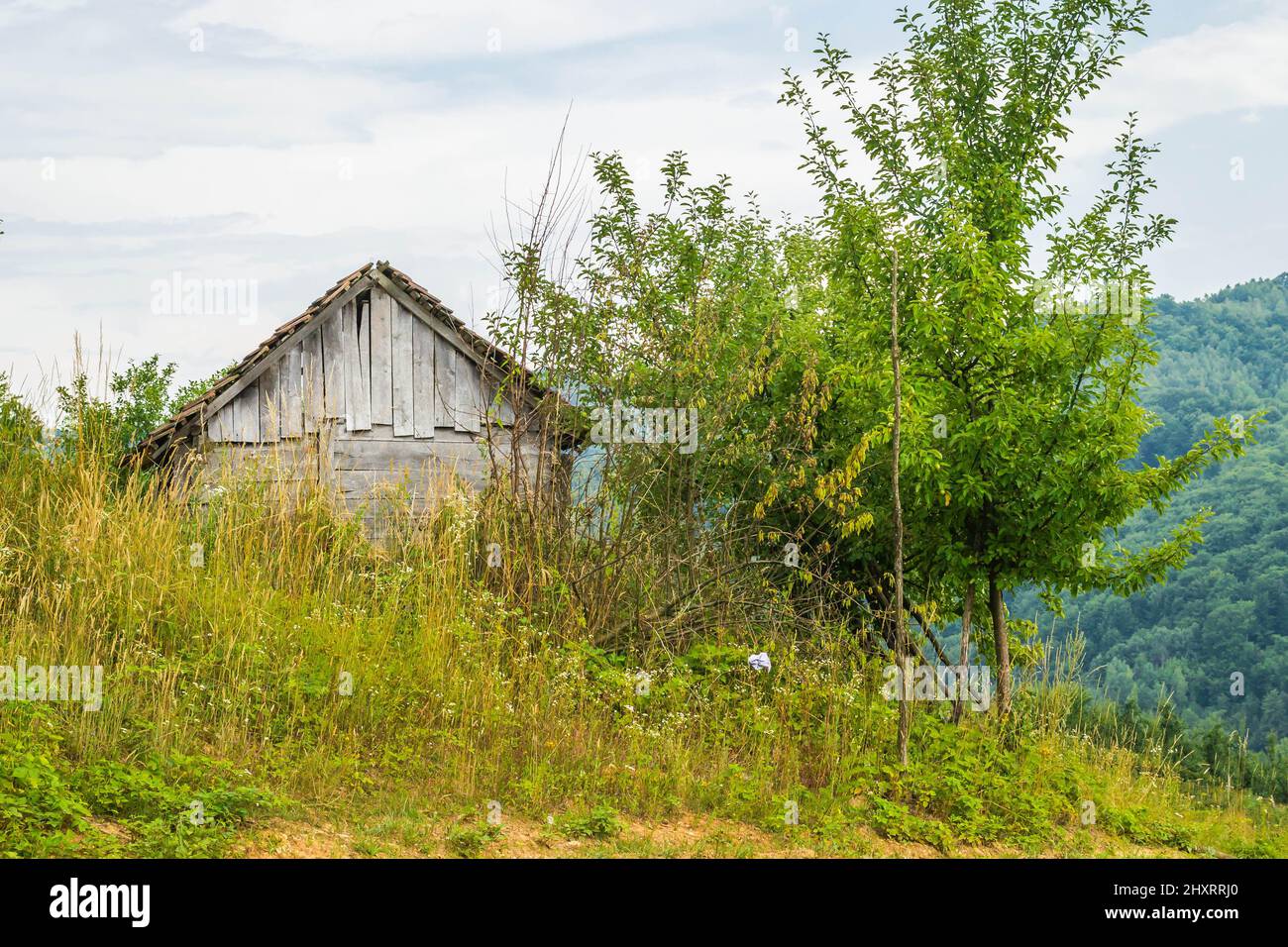 Closeup of an old Abandoned log cabin on a mountain in the woods in ...