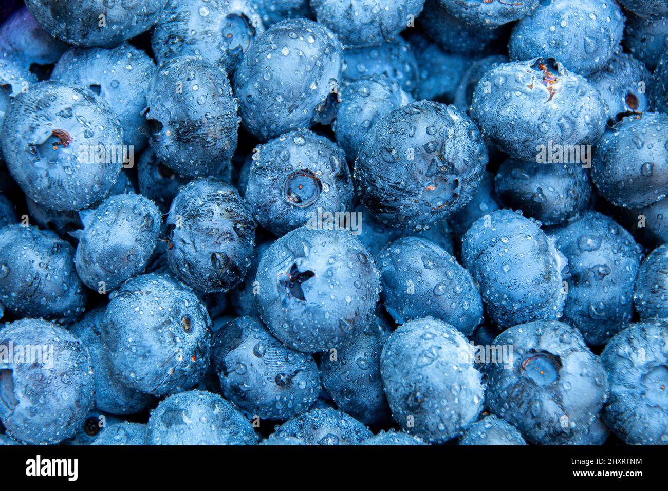 Texture background of wet fresh blueberries Stock Photo - Alamy