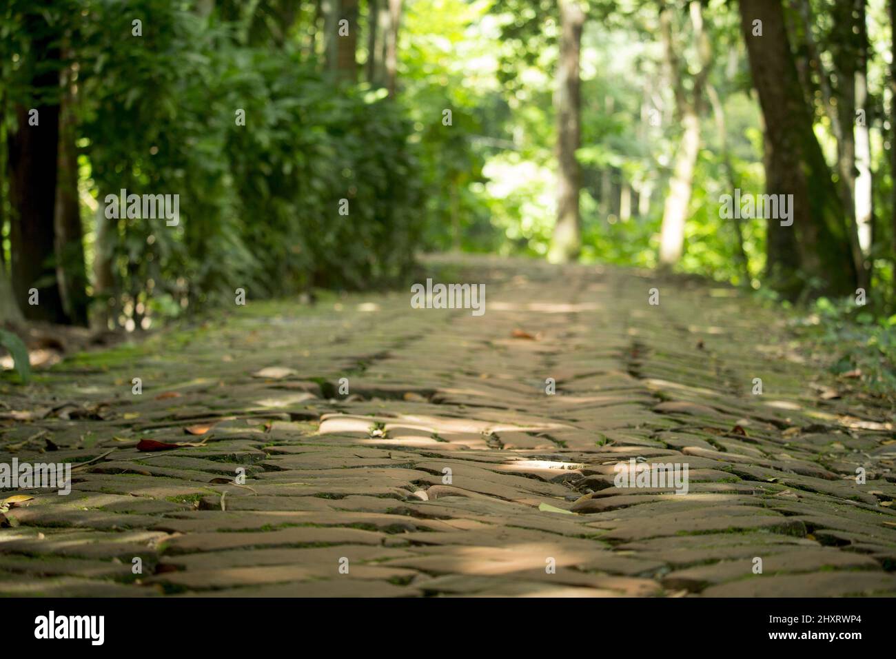 Man made bricks in construction hi-res stock photography and images - Alamy