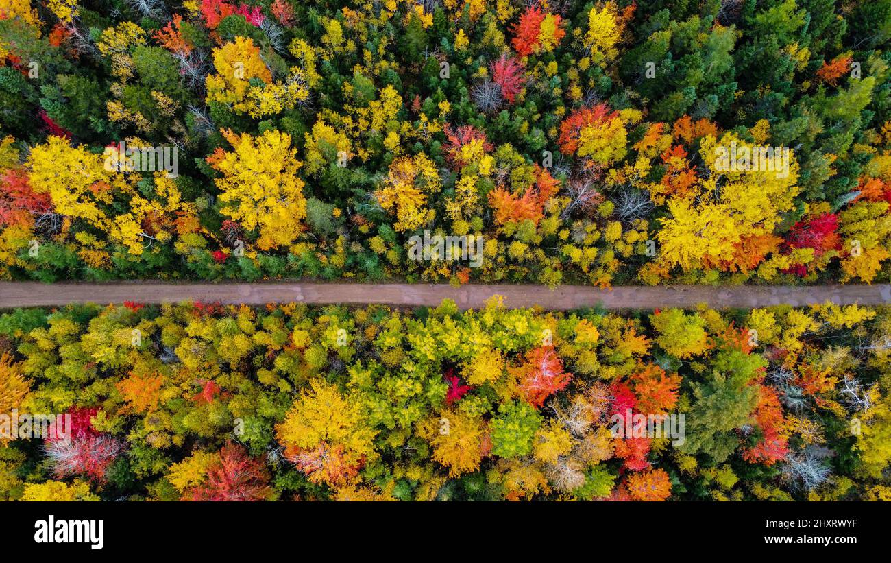 Aerial view of a road through colorful autumnal trees in Memramcook ...