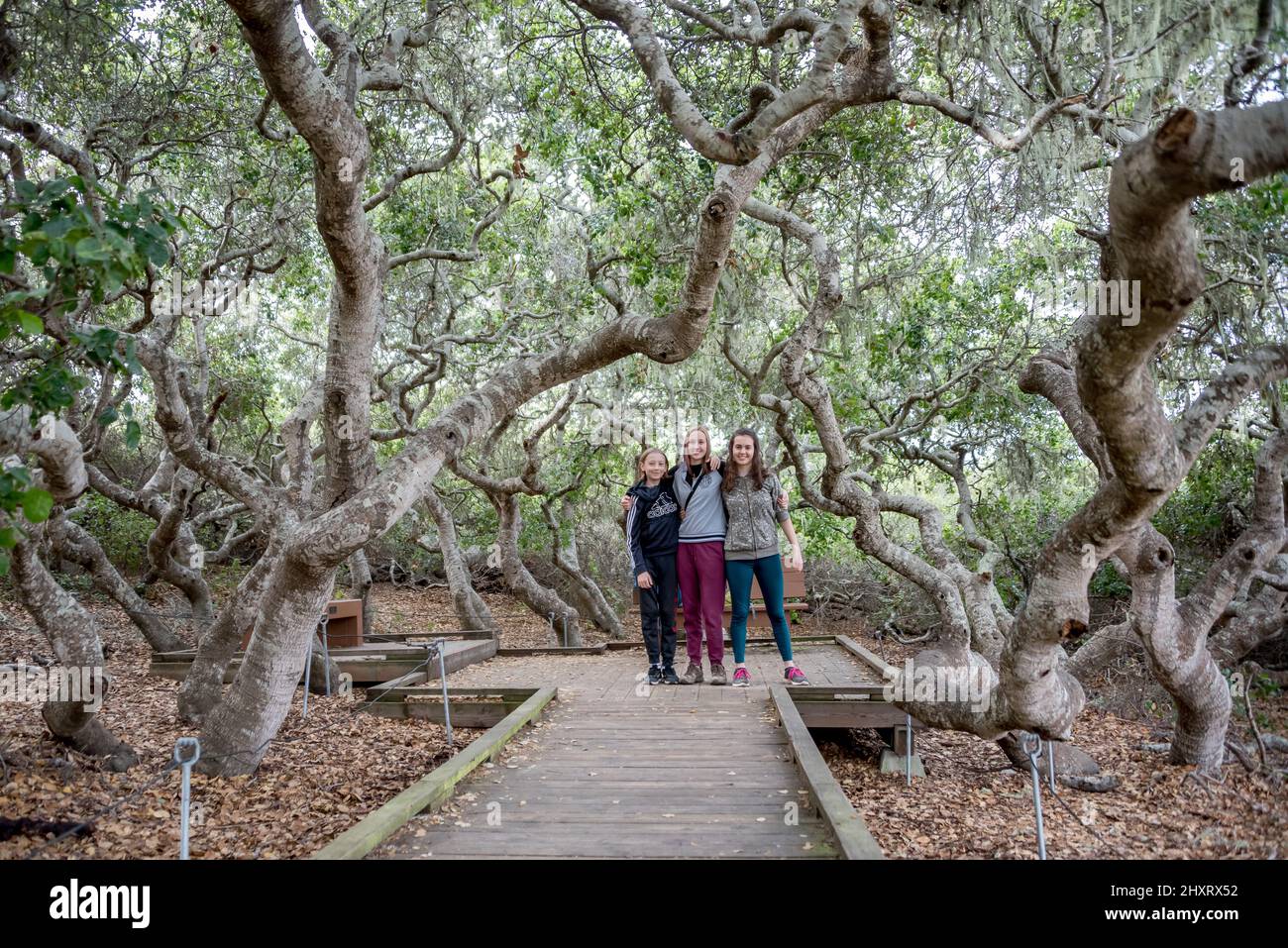 In El Moro Elfin Forest, Los Osos, California, three kids pose ...