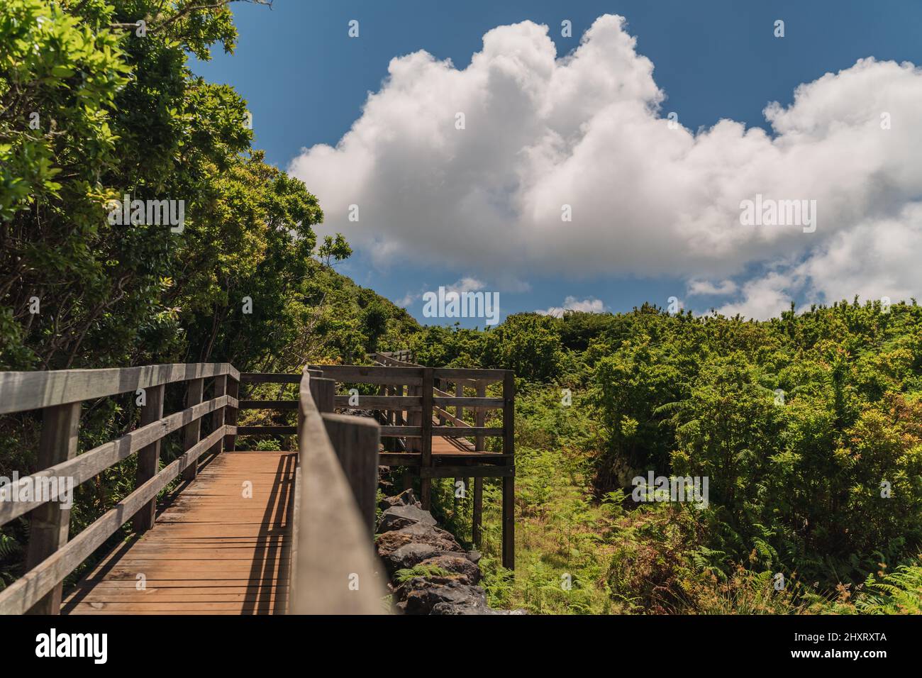 Mountain footpath with wooden railings in Furnas do Enxofre, Terceira ...