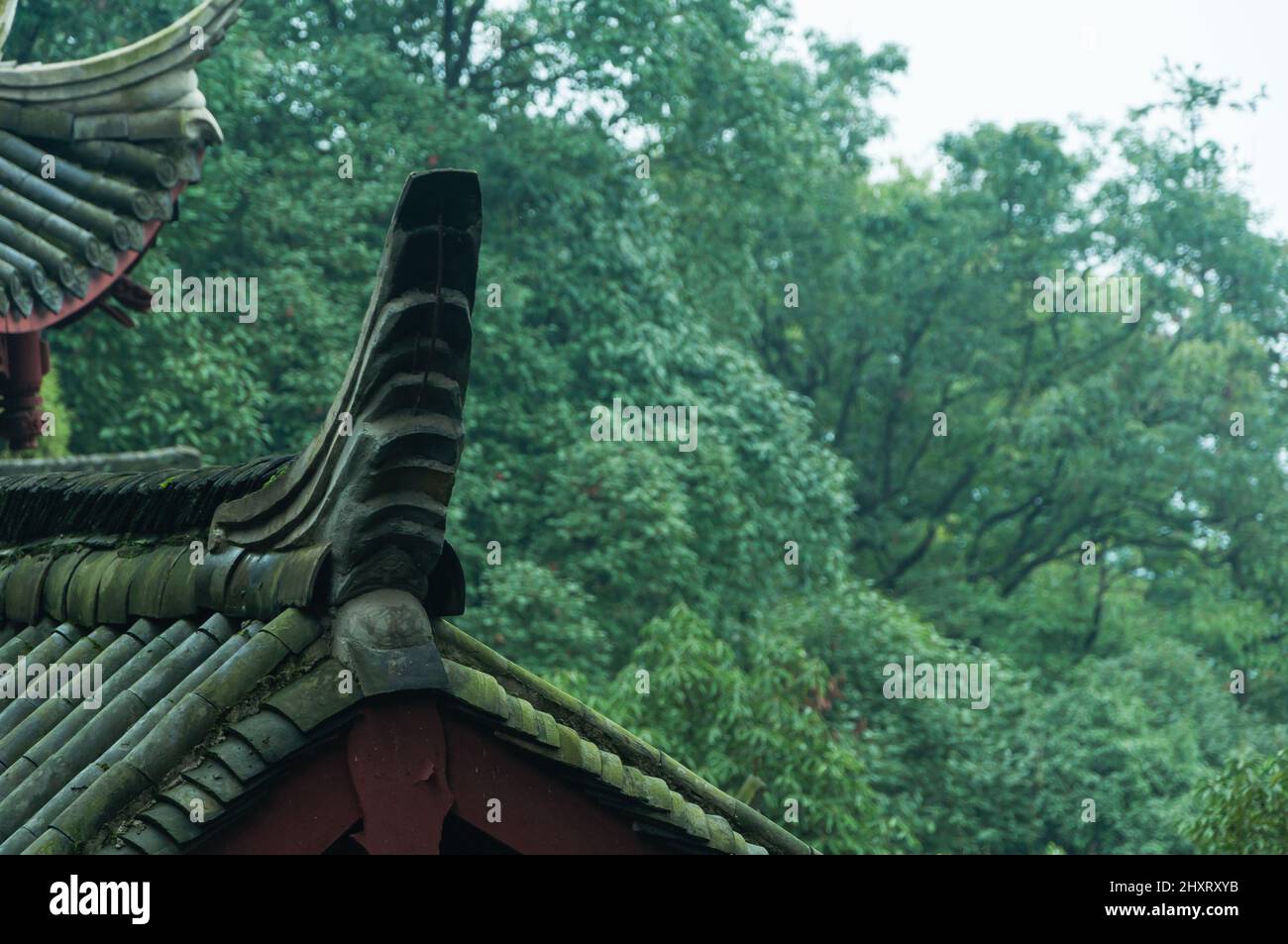 Photo of japanese style building in forest Stock Photo - Alamy