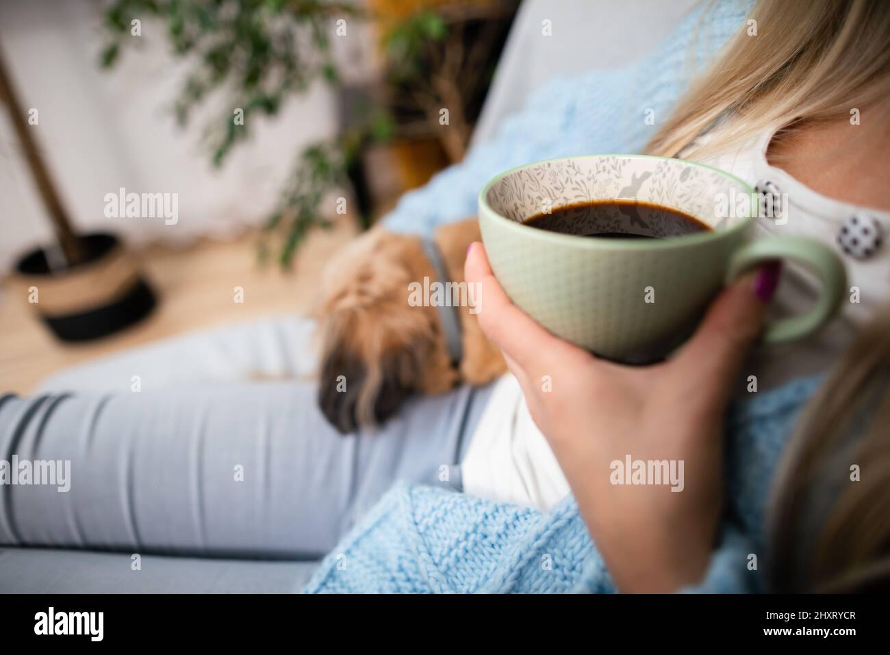 A morning with coffee and a four-legged canine friend Stock Photo - Alamy