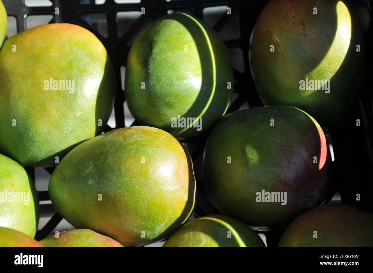 Mangos peru hi-res stock photography and images - Alamy