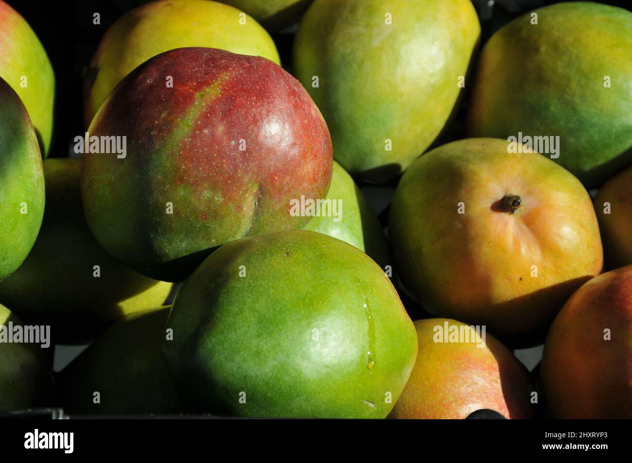 Mangos peru hi-res stock photography and images - Alamy