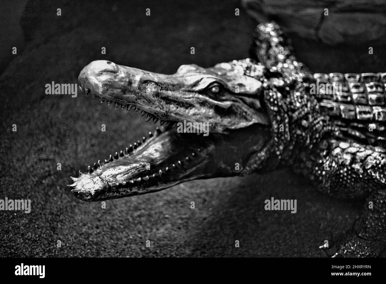 Crocodile statue hi-res stock photography and images - Alamy