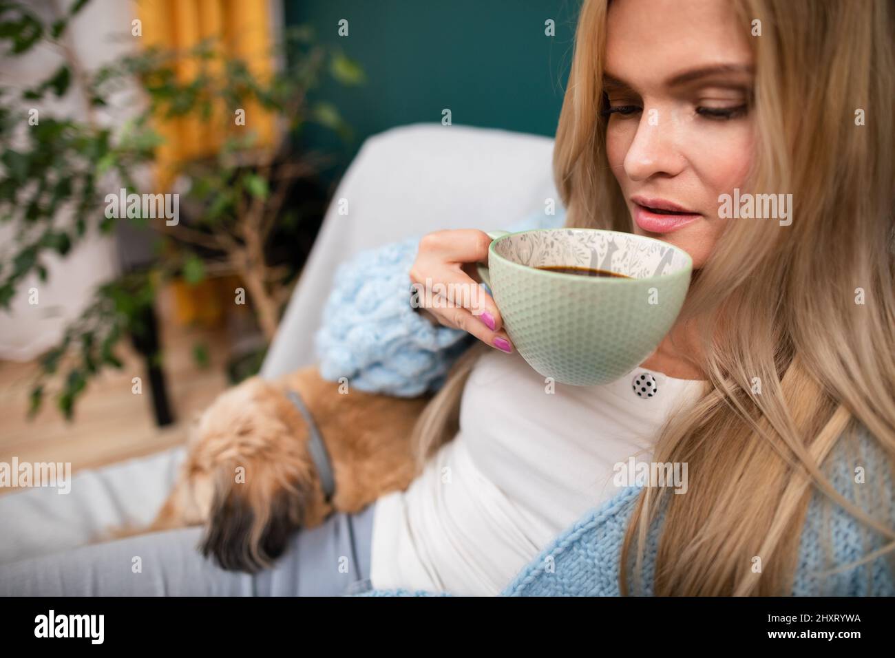 The girl is drinking coffee and the dog is cuddling with her Stock ...