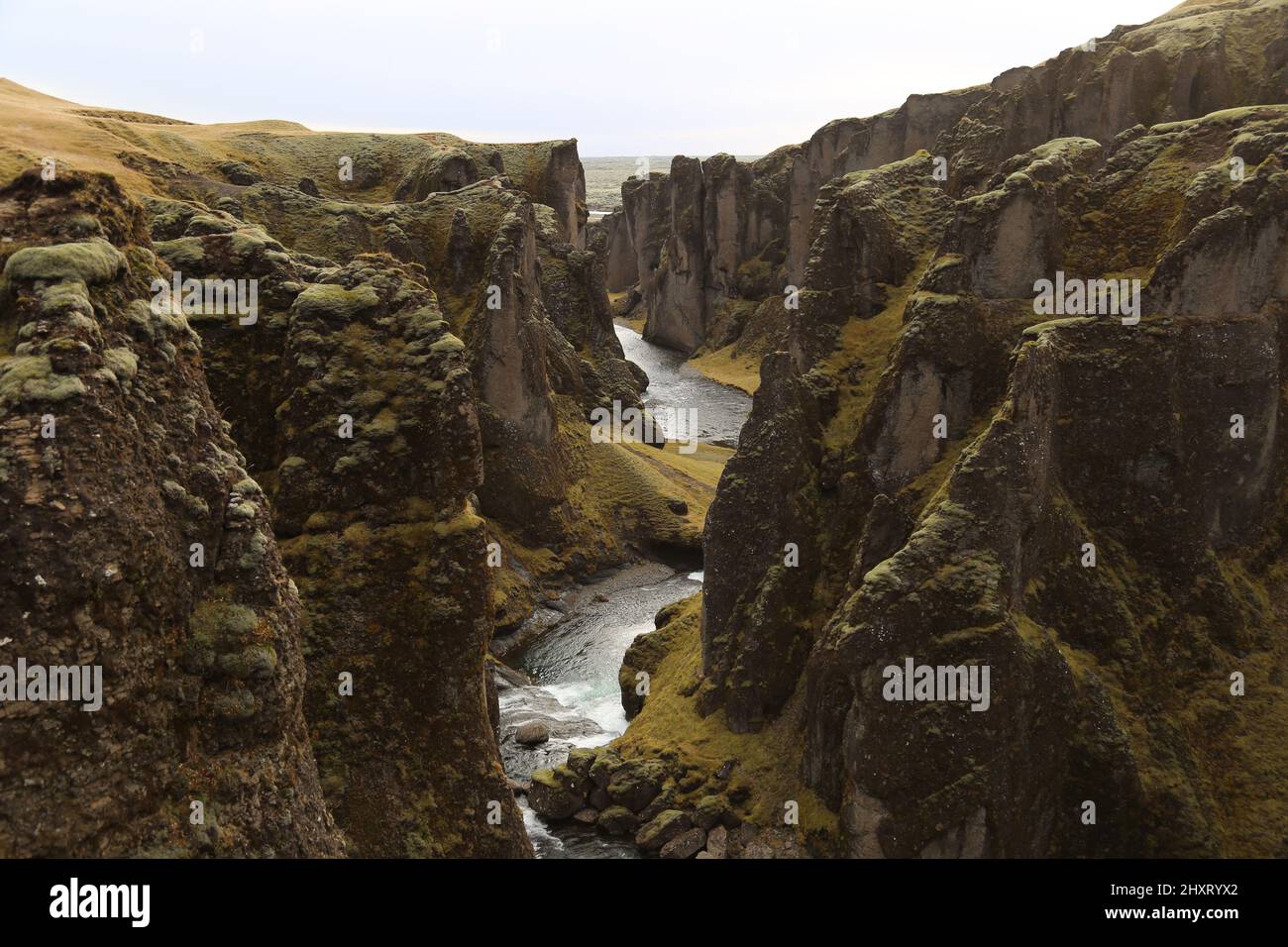 Beautiful landscape view of lowing narrow channel water between mossy ...