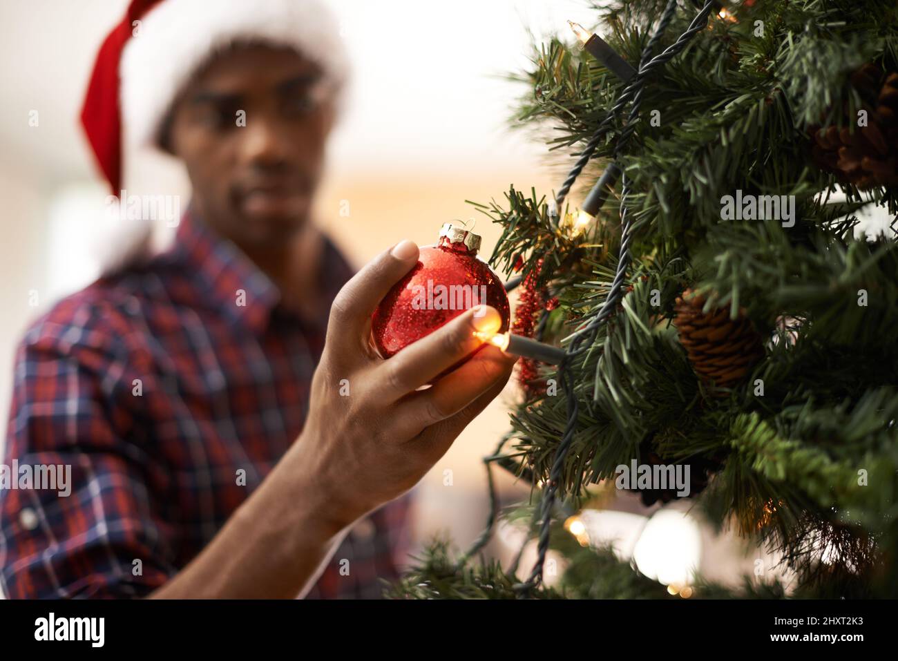 Handsome tree hi-res stock photography and images - Alamy