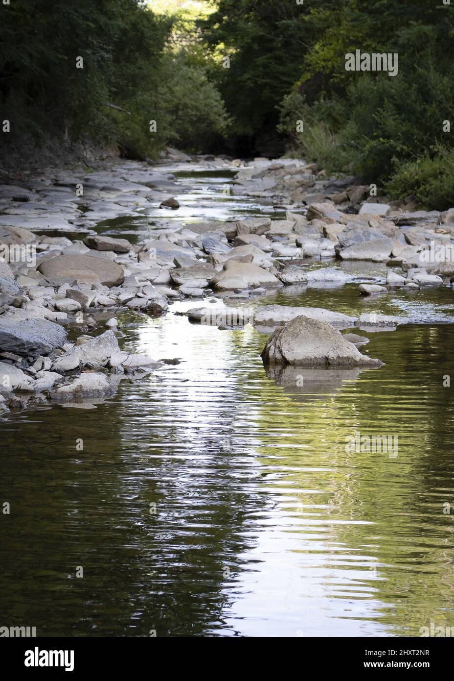 Beautiful Purdy Creek located in Western New York State Stock Photo - Alamy