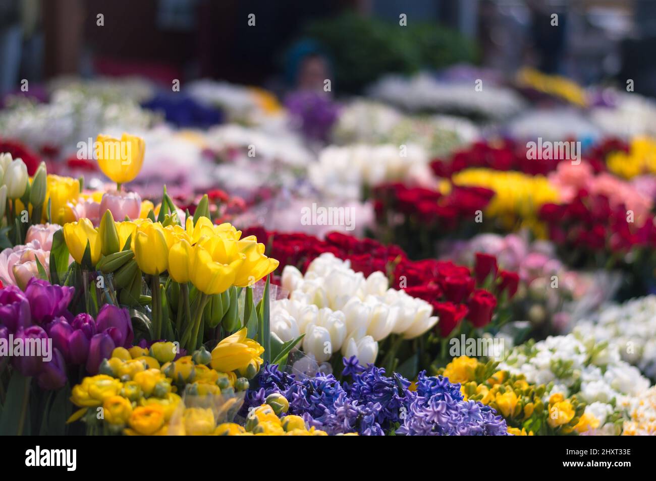 Beautiful view of various types of flowers in a market Stock Photo - Alamy