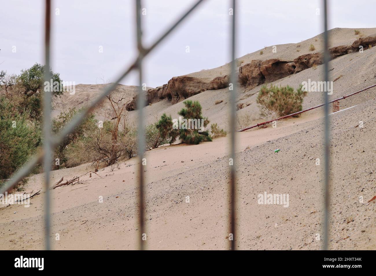 View from metal bars of the sand in the Sahara desert Stock Photo - Alamy