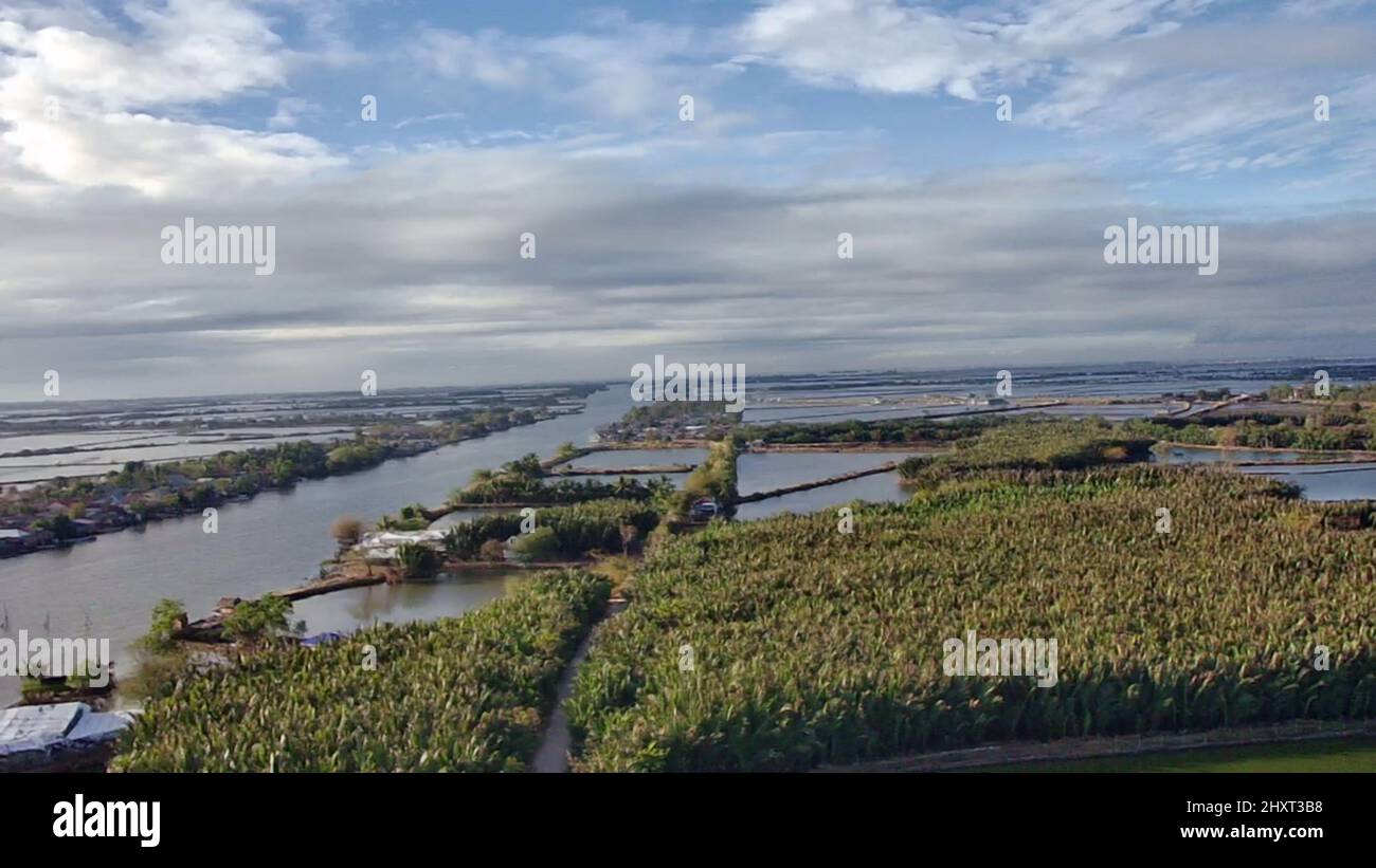 Bird's eye view of plantations on the water in Philippines Stock Photo ...