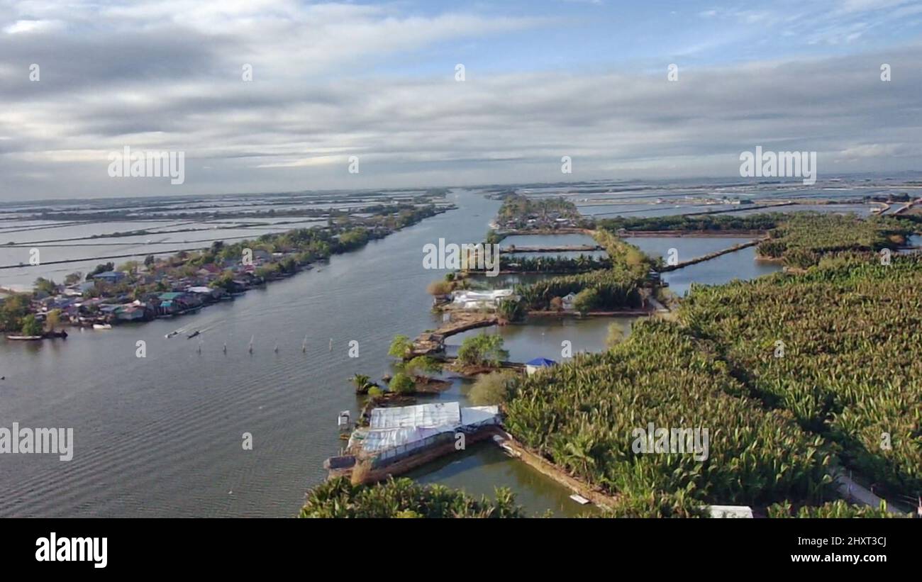 Bird's eye view of plantations on the water in Philippines Stock Photo ...