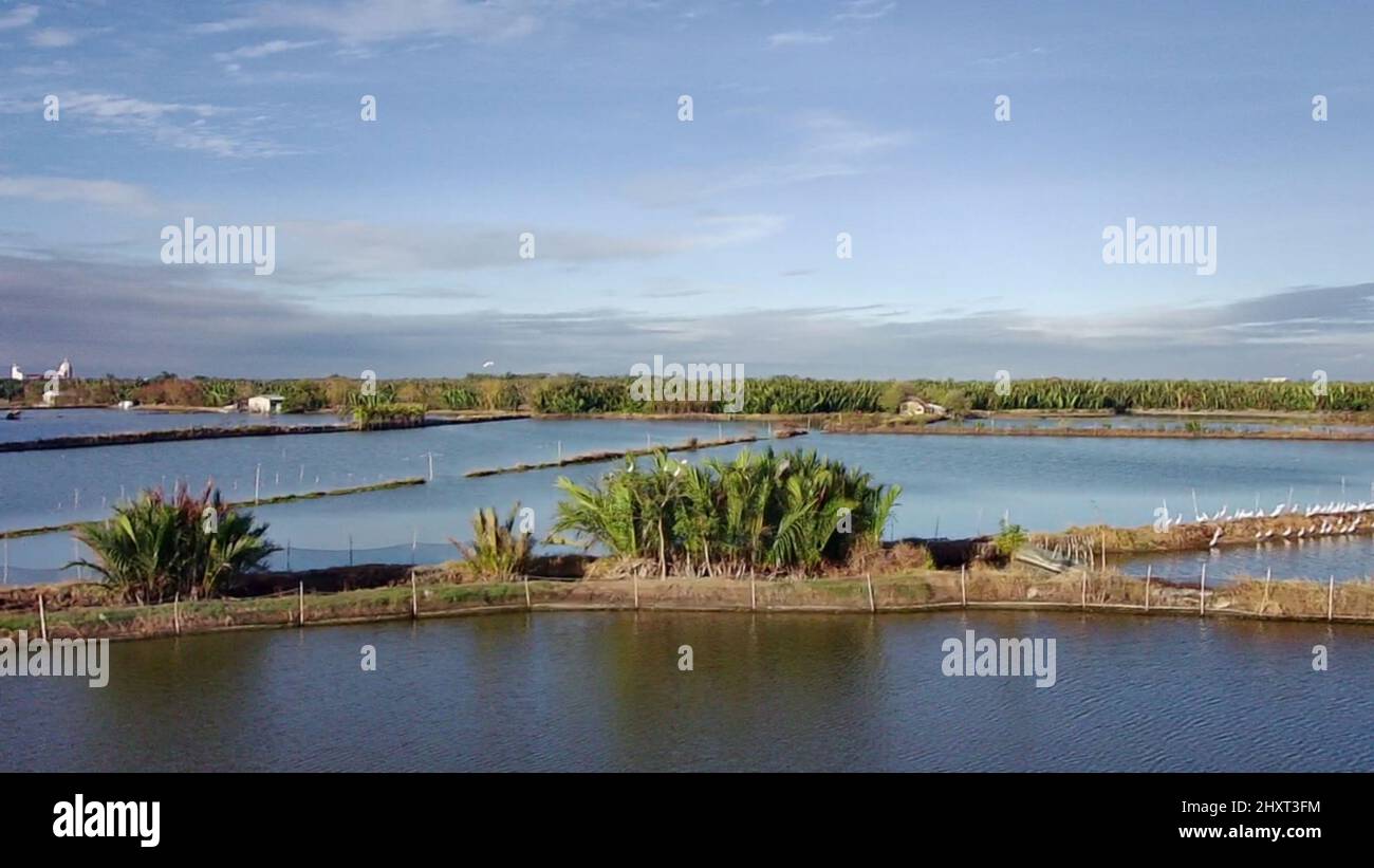 Bird's eye view of plantations on the water in Philippines Stock Photo ...