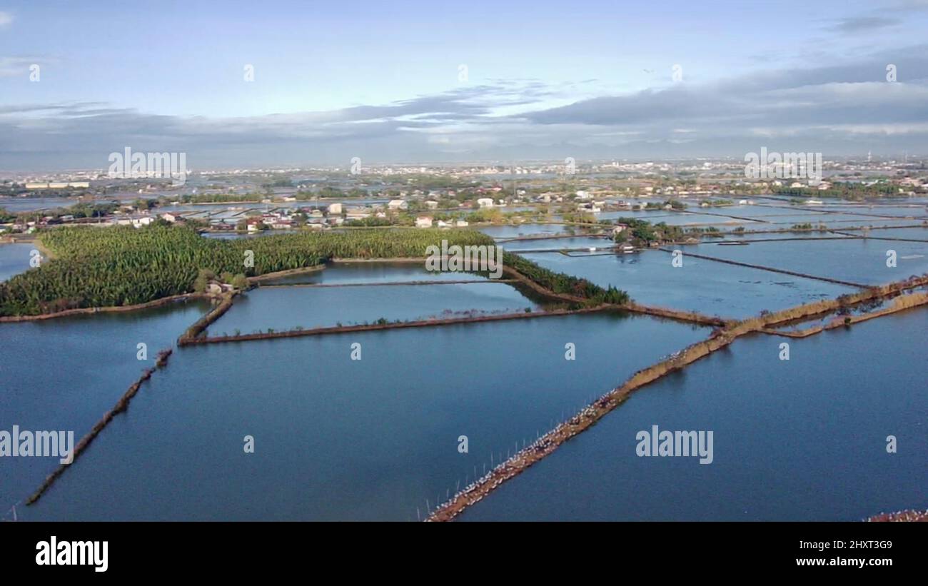 Bird's eye view of plantations on the water in Philippines Stock Photo ...