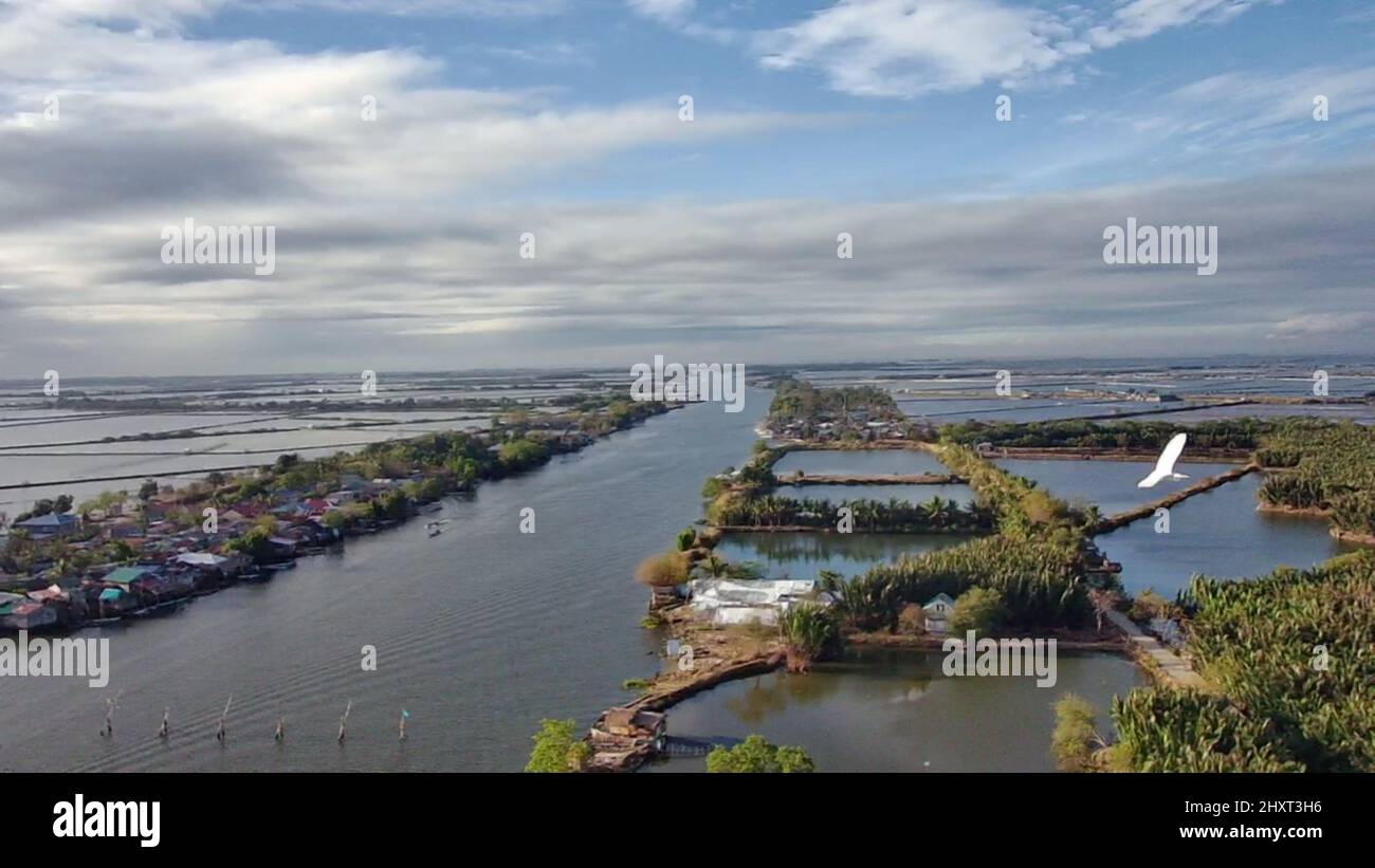 Bird's eye view of plantations on the water in Philippines Stock Photo ...