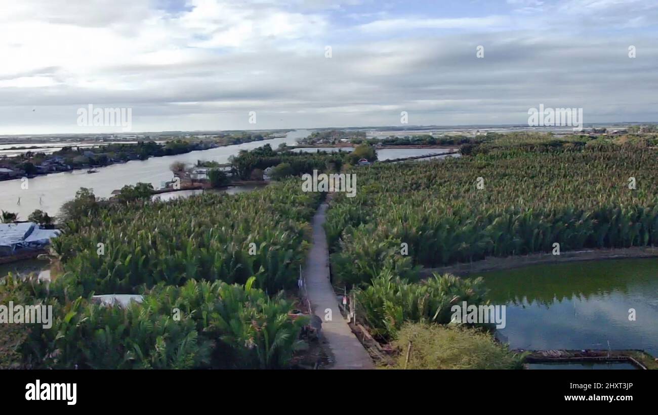 Bird's eye view of plantations on the water in Philippines Stock Photo ...