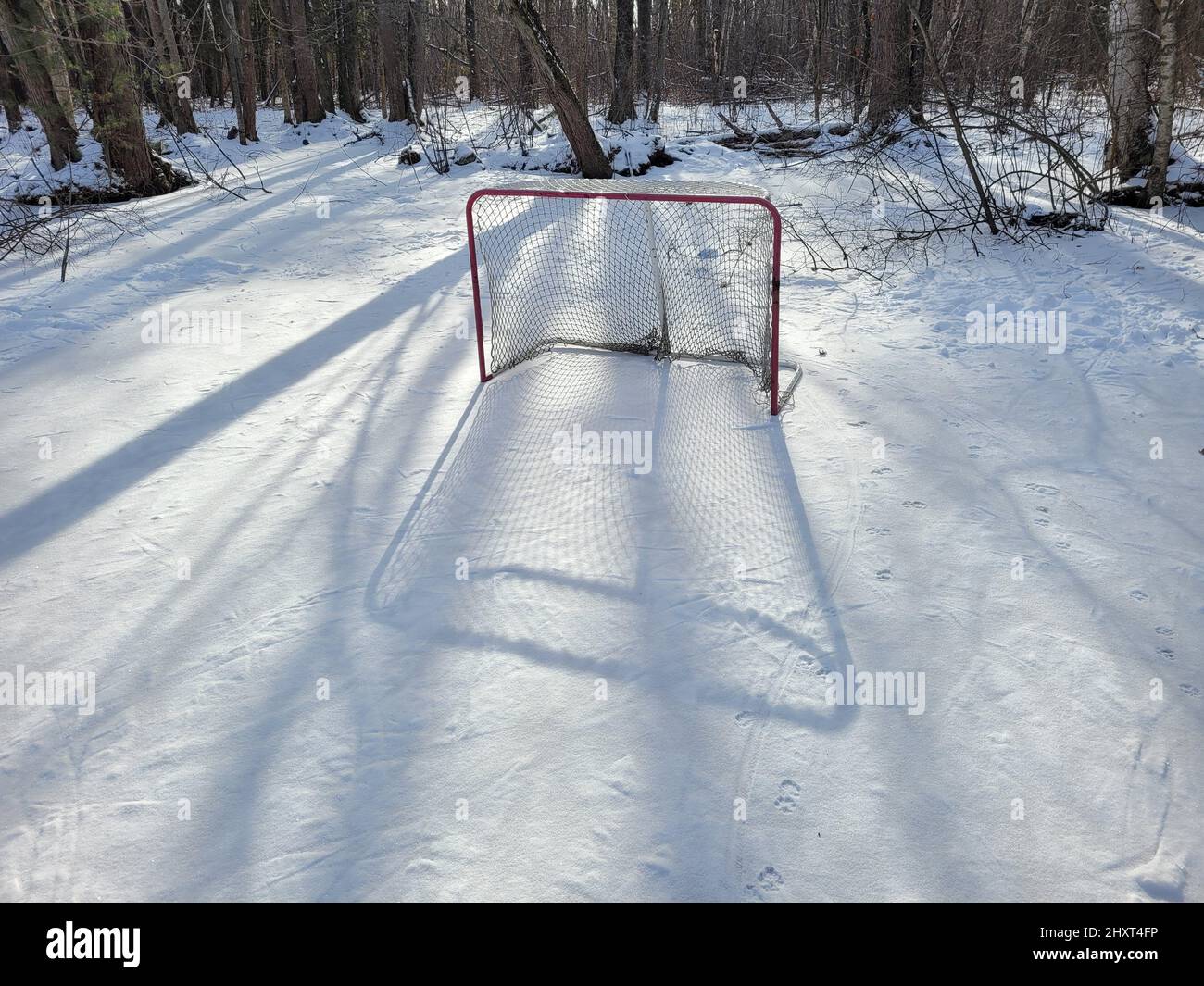 Ice hockey field hi-res stock photography and images - Alamy