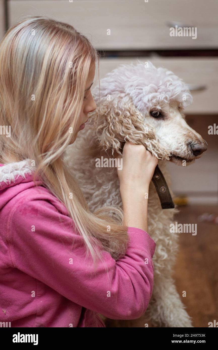 Teenager girl and a big dog - royal poodle Stock Photo - Alamy