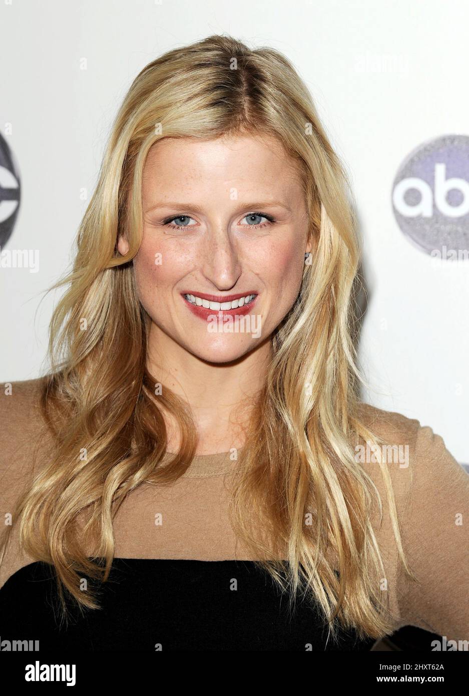 Mamie Gummer during the 2011 TCA Winter Press Tour for ABC/Disney ...