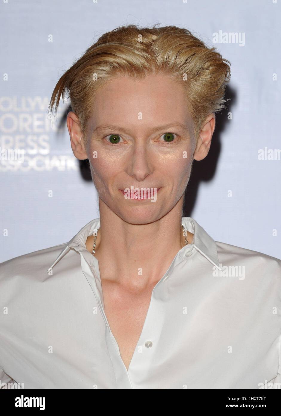 Tilda Swinton in the press room of the 68th Golden Globe Awards ...