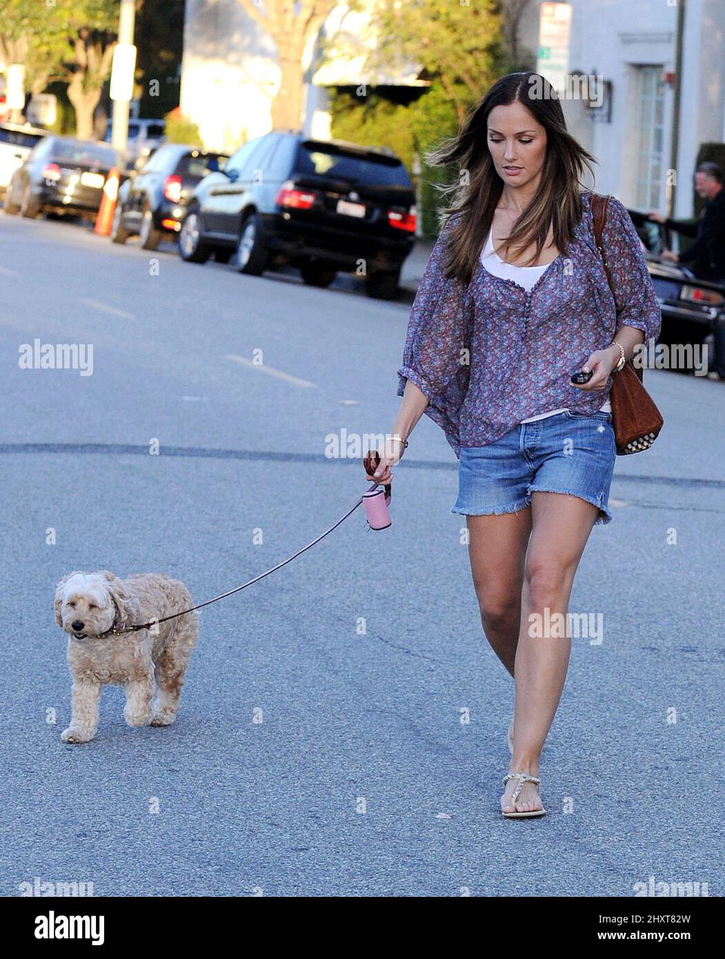 Dog sighting hi-res stock photography and images - Alamy