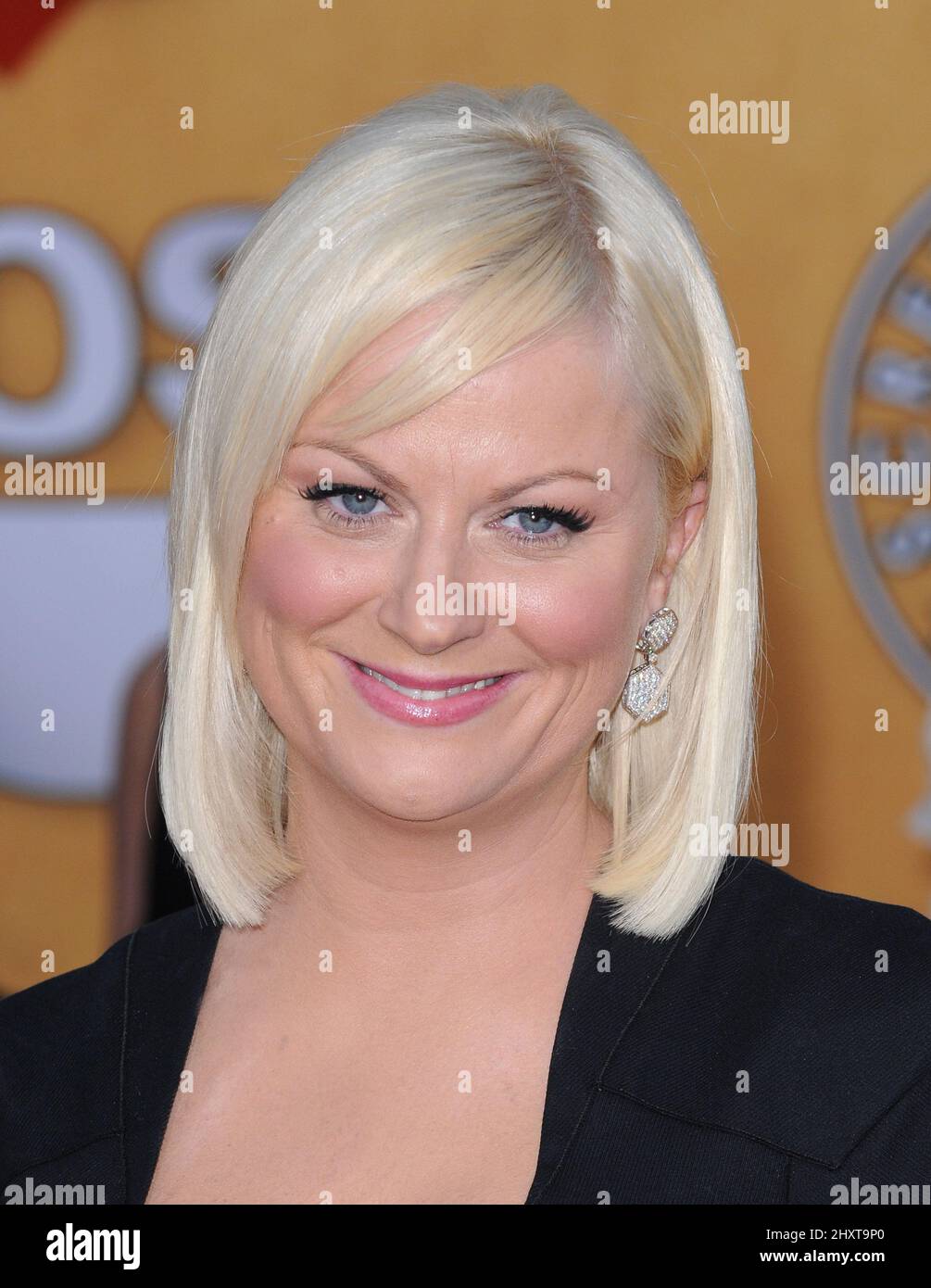 Amy Poehler at the 17th Annual Screen Actors Guild (SAG) Awards, held ...