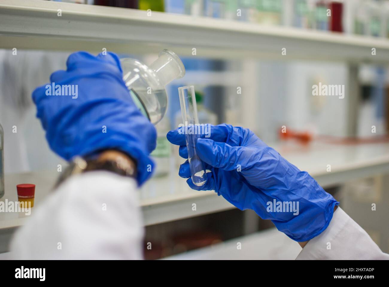 Laboratory worker with gloves pouring a liquid into a tube Stock Photo ...