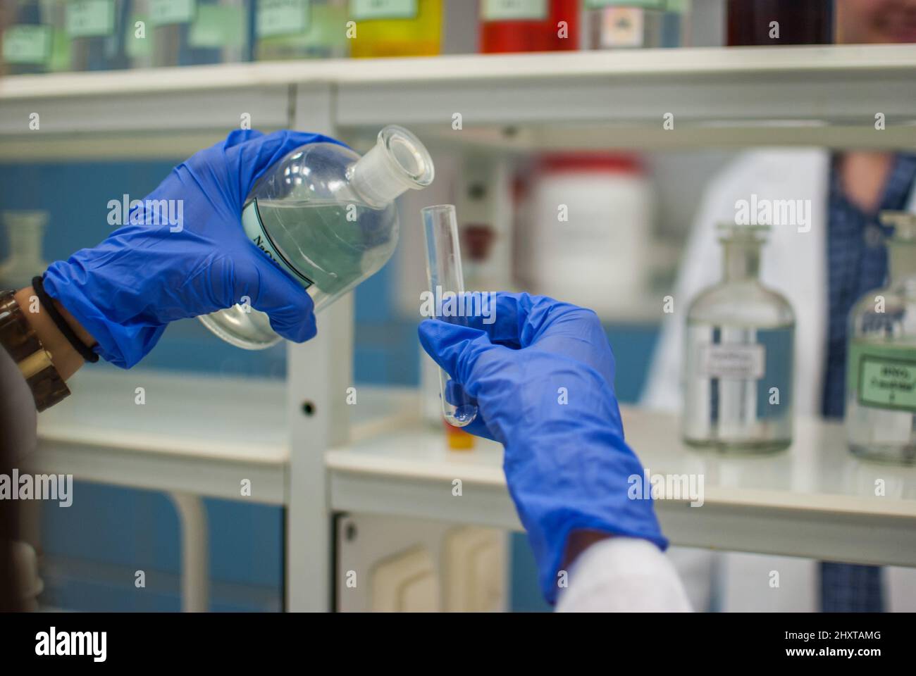 Laboratory worker with gloves pouring a liquid into a tube Stock Photo ...